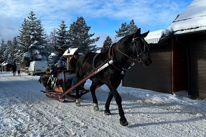 Zakopane Tour from Krakow with Thermal SPA and Hotel Pick up - Authentic Experiences and Tips from Past Travelers