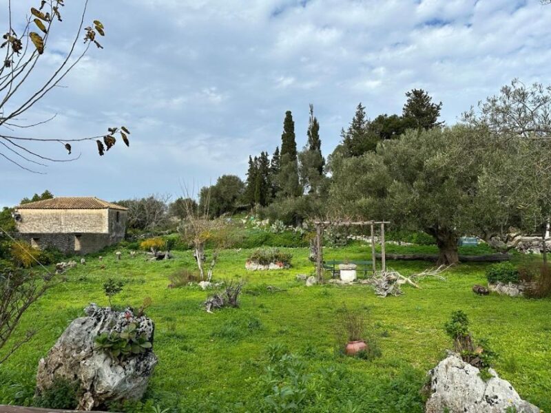 Zakynthos 4x4 off-road experience with Lunch - Practical Considerations and Tips for Travelers