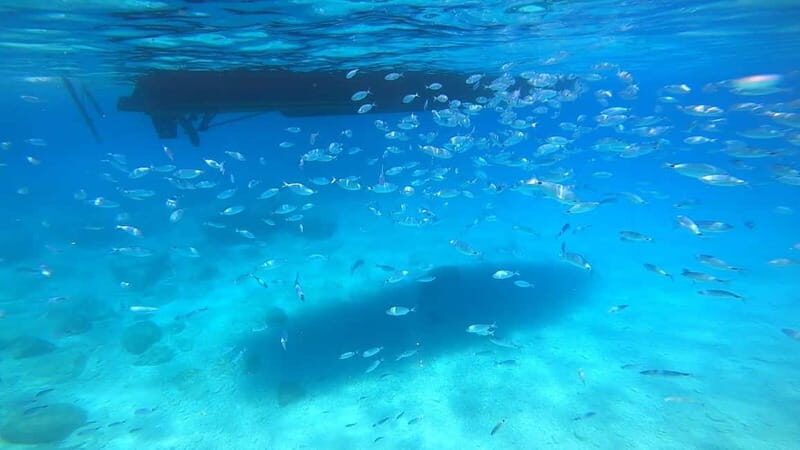 Zakynthos: Blue Caves and Navagio Bay Swim Cruise - What’s Included and What to Bring