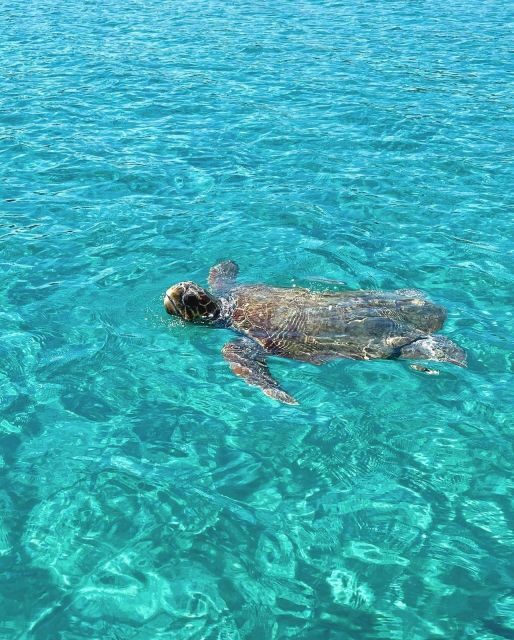 Zakynthos: Boat Rental - What Makes This Experience Stand Out