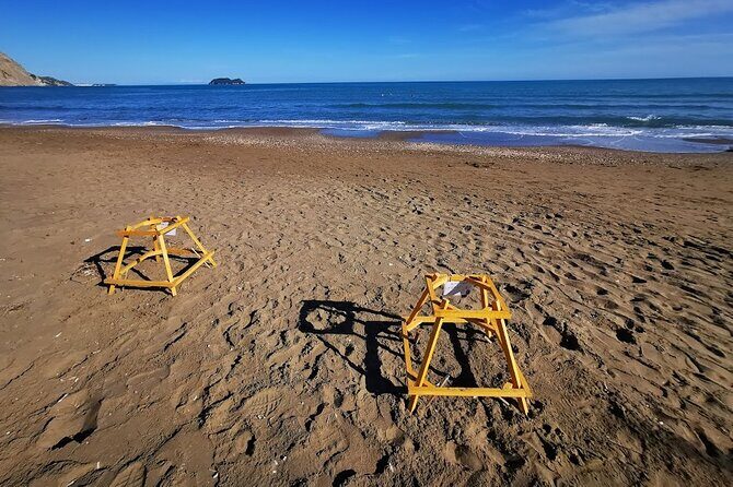 Zakynthos: Marathonisi, Cameo Island and Keri Caves Tour - Authenticity and Experience