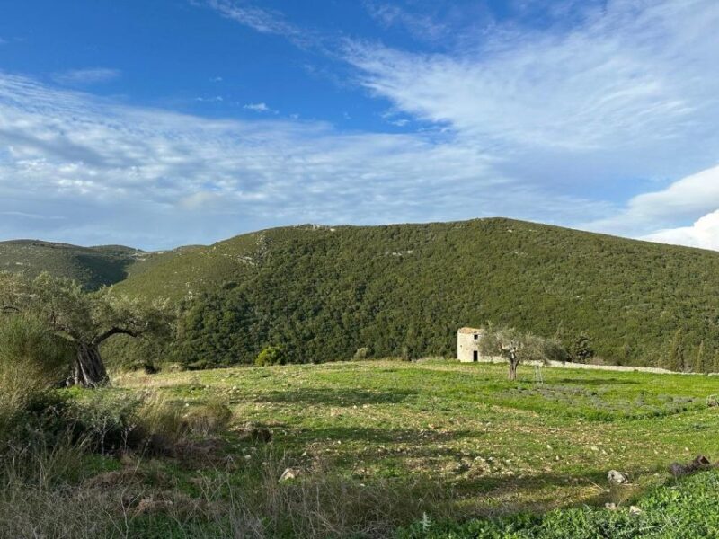 Zakynthos Premium 4x4 Island Experience - Frequently Asked Questions