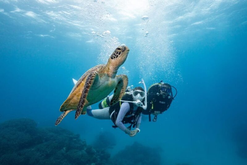 Zakynthos: Scuba Diving Experience with Underwater Photos - Who Will Love This Tour?