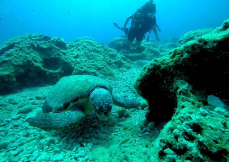 Zakynthos: Scuba Diving Experience with Underwater Photos - Final Thoughts