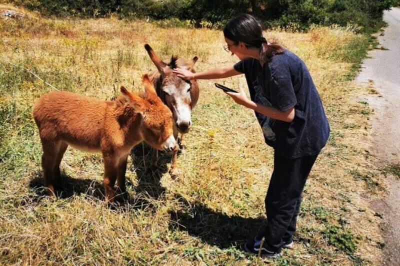 Zakynthos Sunset Tour to Kampi with Greek Night! - Potential Drawbacks or Considerations