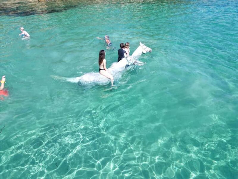 Zakynthos: Yotomu Horse Riding and Swimming Experience - Final Thoughts