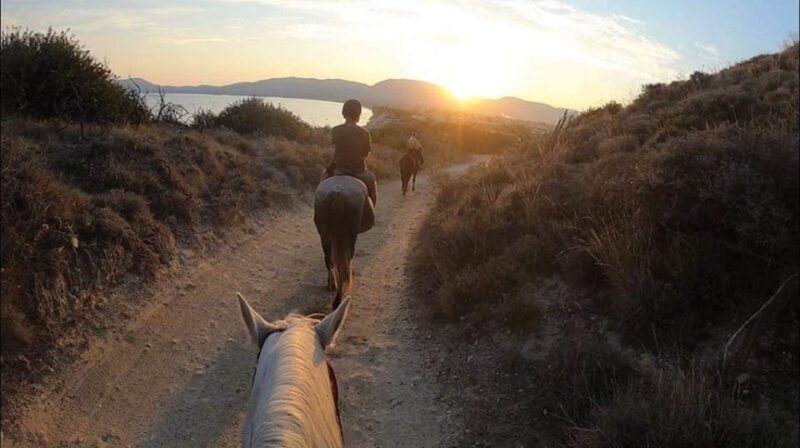 Zakynthos: Yotomu Horse Riding and Swimming Experience - FAQs