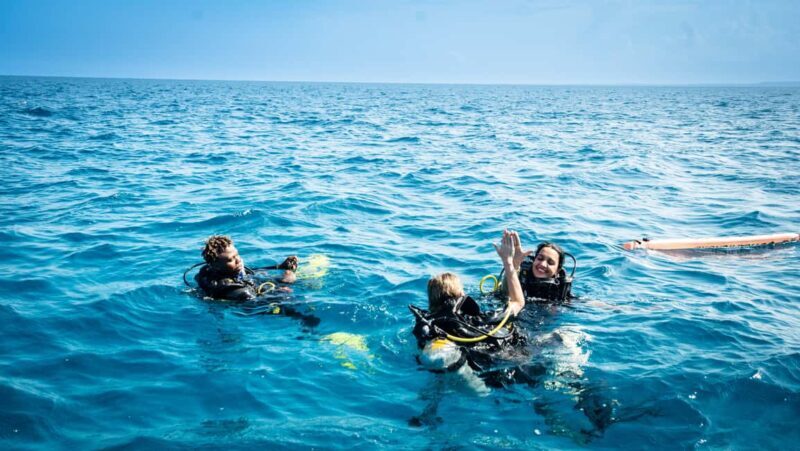 Zanzibar: 2-Day PADI Dive Into Paradise on a Scuba Tour - The Sum Up