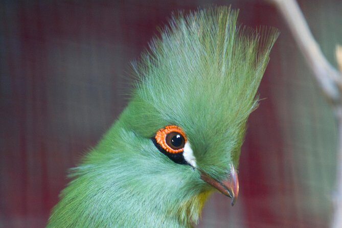 Zaragoza Aquarium Admission Ticket - Frequently Asked Questions