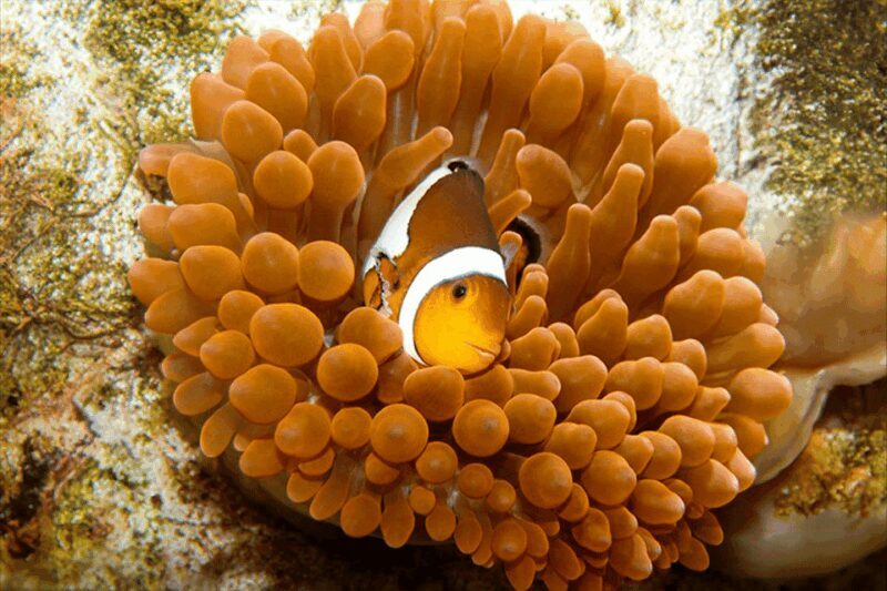 Zaragoza : Aquarium entry ticket - Key Points