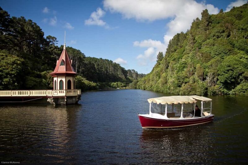 Zealandia by Day Tour - Authentic Reviews and What They Reveal