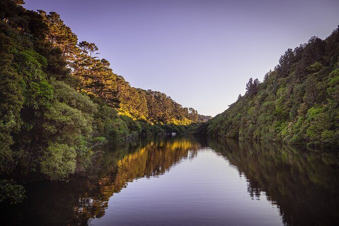 Zealandia - Twilight Guided Eco Wildlife Tour - Key Points
