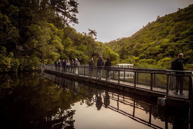 Zealandia - Twilight Guided Eco Wildlife Tour - The Itinerary in Detail