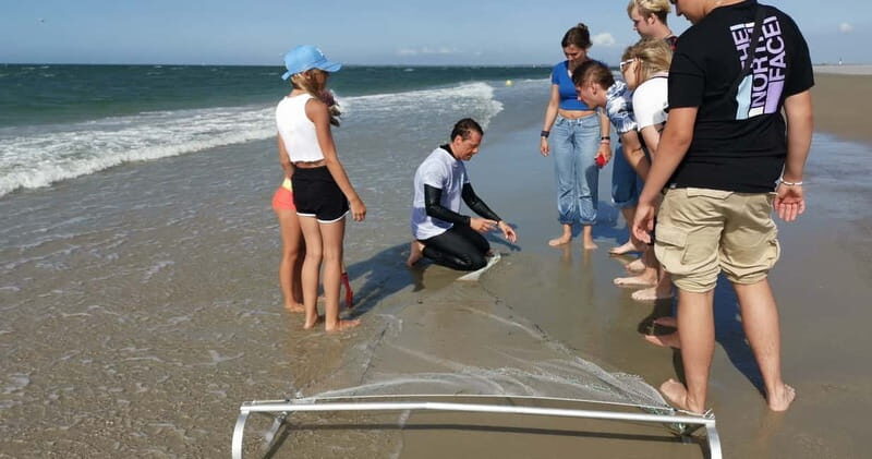 Zeeland Strand safari met visnet NL/DE - Key Points
