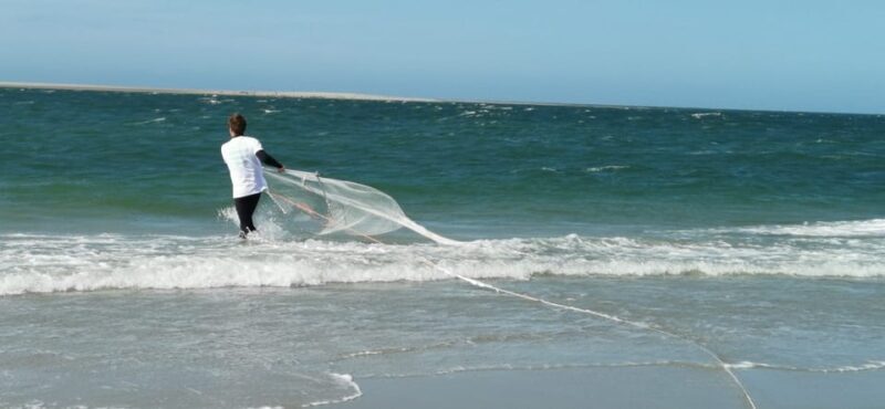 Zeeland Zeehonden strand safari NL/DE - Frequently Asked Questions
