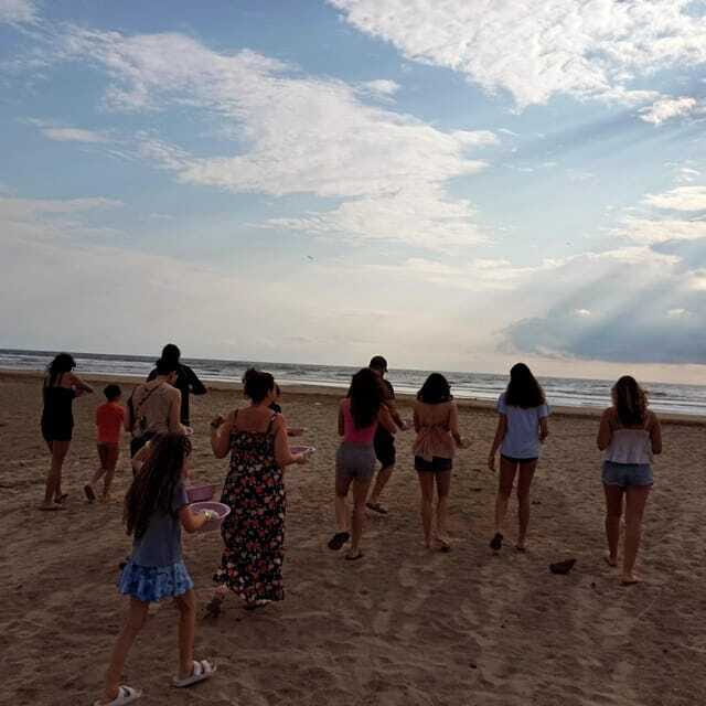 Zihuatanejo, Guerrero: Turtle Release Experience - The Value for Money