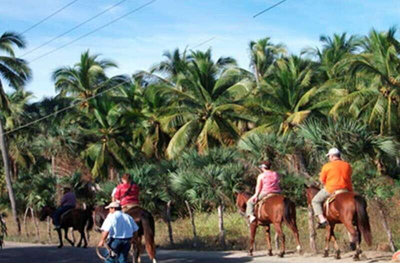 Zihuatanejo: Horseback Riding on the Beach - Authentic Reviews and Insider Insights