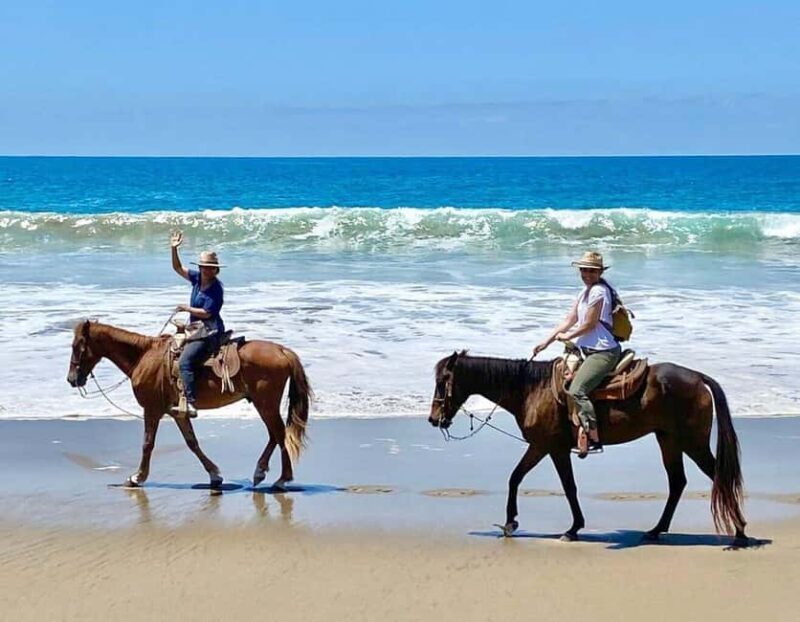 Zihuatanejo: Horseback Riding Tour with Playa Larga Beach - Final Thoughts: Who Will Love This Tour?