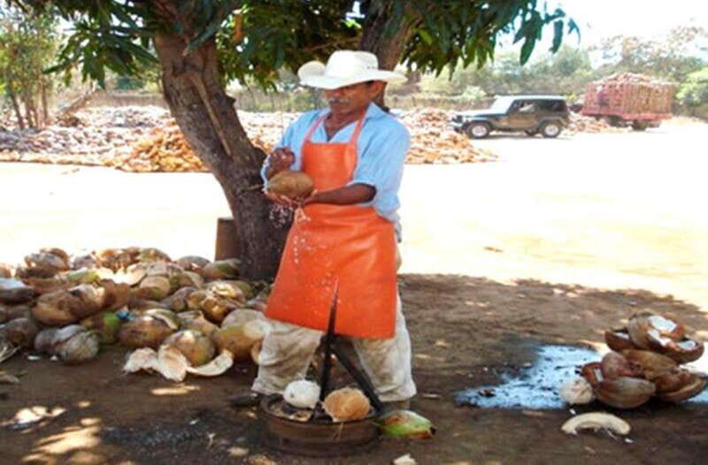 Zihuatanejo Ixtapa: Countryside Tour - Key Points