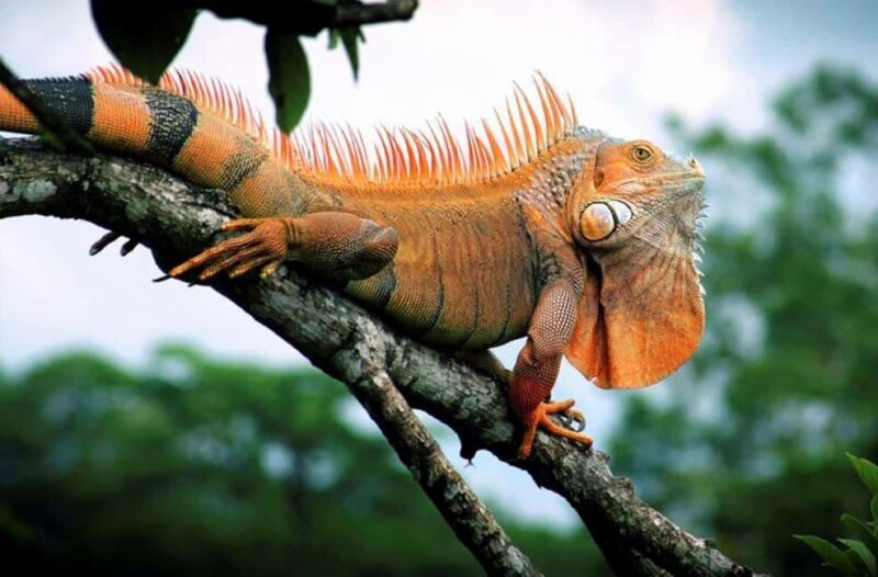 Zihuatanejo Ixtapa: Super Combo Tour - Final Thoughts