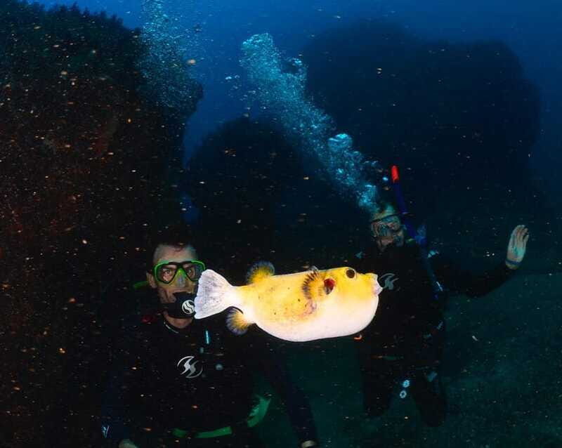 Zihuatanejo: Moonlit Dive at Las Gatas - Key Points