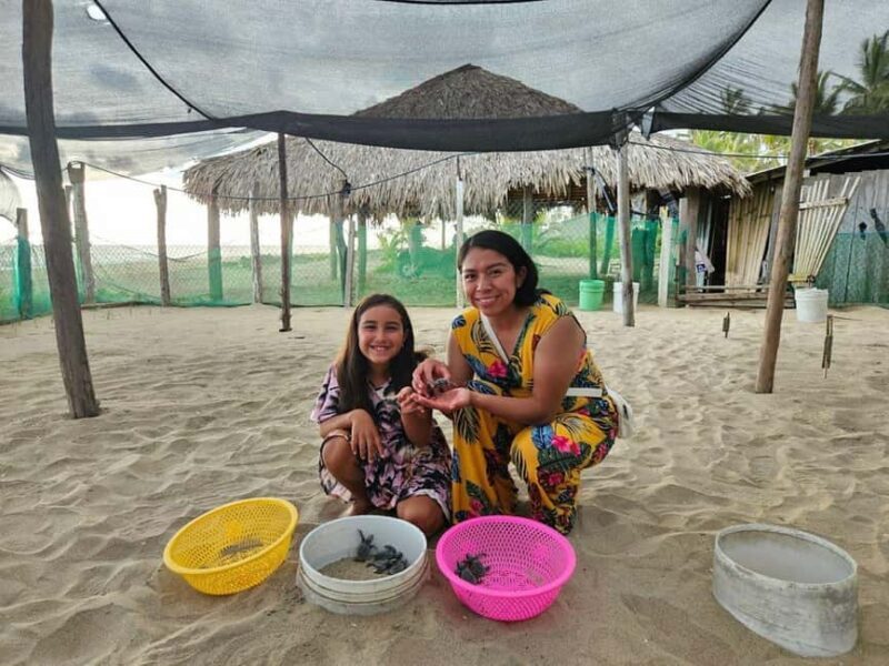 Zihuatanejo: Turtle Release Experience at Playa Blanca - The Value of the Experience