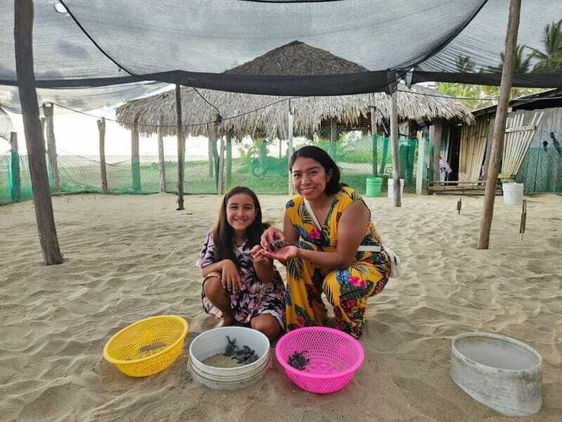 Zihuatanejo: Turtle Release Experience at Playa Blanca - FAQ