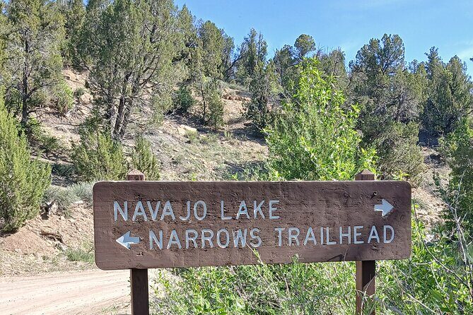 Zion National Park: Shuttle Service - What To Expect From the Zion Shuttle Service