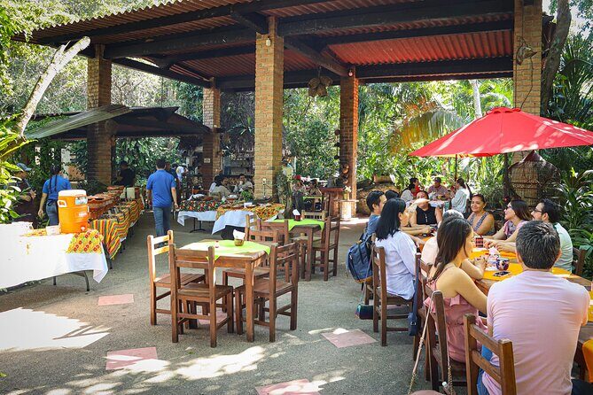 Zip Line Adventure in the heights in Puerto Vallarta 11 lines - Final Thoughts