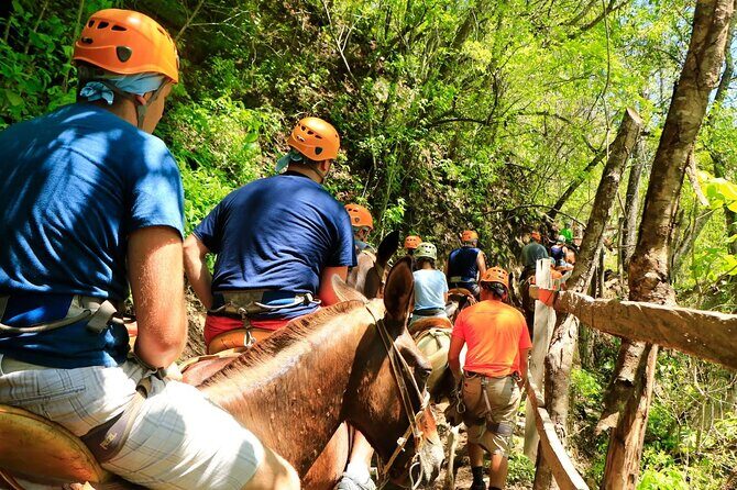 Zip Line, Mules Ride and Walk on the Hanging Bridge - Is This Tour Right for You?