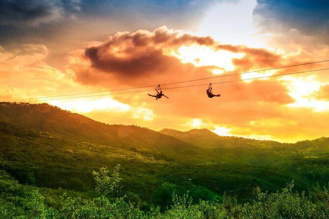 Zip Zoom Ziplines at La Jolla Indian Adventure Park - An Overview of the Tour