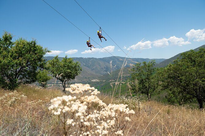 Zip Zoom Ziplines at La Jolla Indian Adventure Park - FAQs