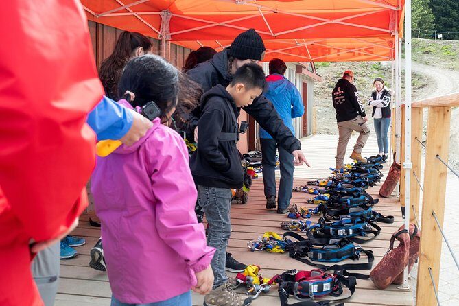 Zipline Adventure in Whistler - What to Expect on the Zipline Tour