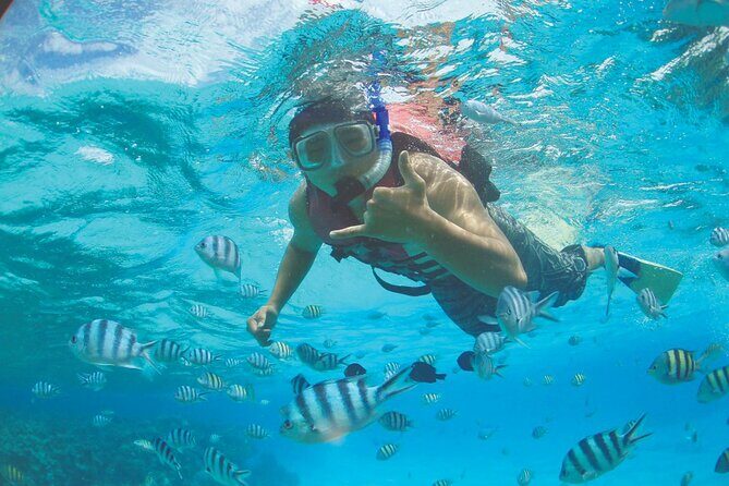 Zipline + Beach Package - The Sum Up: Is the Guam Zipline + Beach Package Worth It?