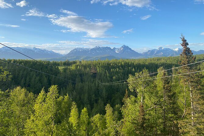 Zipline & Horseback Adventure in Alaskan Mountains - The Sum Up: Who Will Love This Experience?