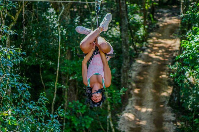 Zipline jungle adventure - What to Expect from the Zipline Jungle Adventure