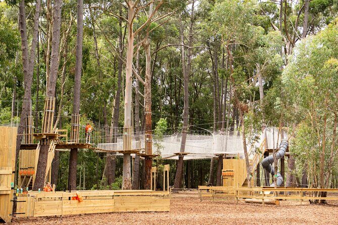 Zipline over the Heysen Trail & Through the Pines of Kuitpo - Who Will Love This Adventure?