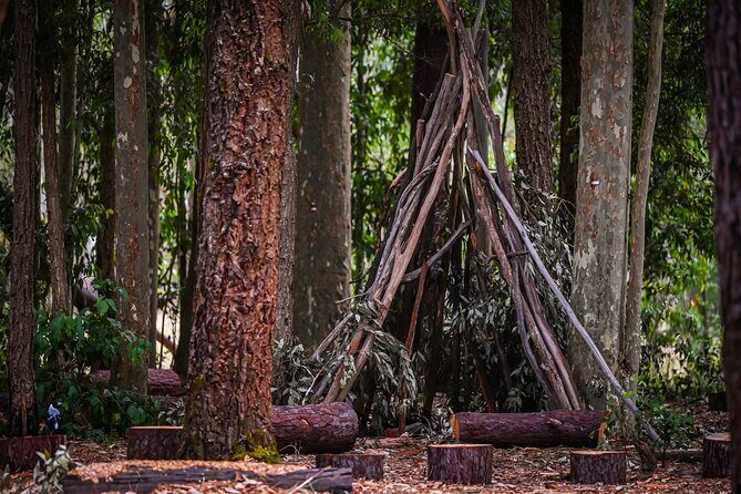 Zipline over the Heysen Trail & Through the Pines of Kuitpo - FAQ