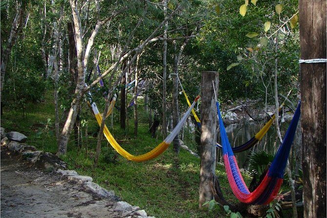 Ziplining and Cenote Tour from Cancun - The Sum Up