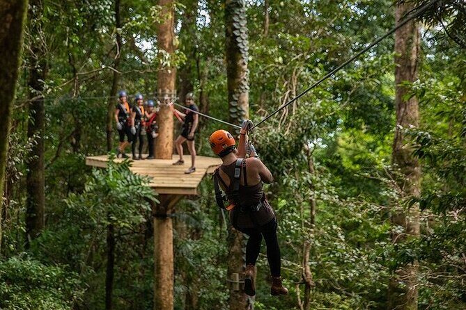 Ziplining Cape Tribulation with Treetops Adventures - The Value for Nature and Adventure Seekers