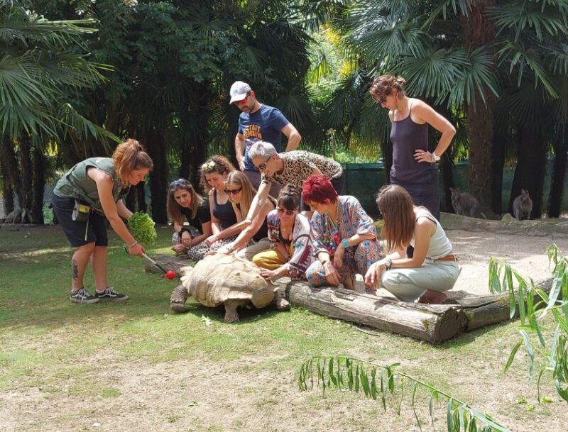 Zoo al Maglio: 1-Day Ticket for the Jungle of Ticino - Key Points