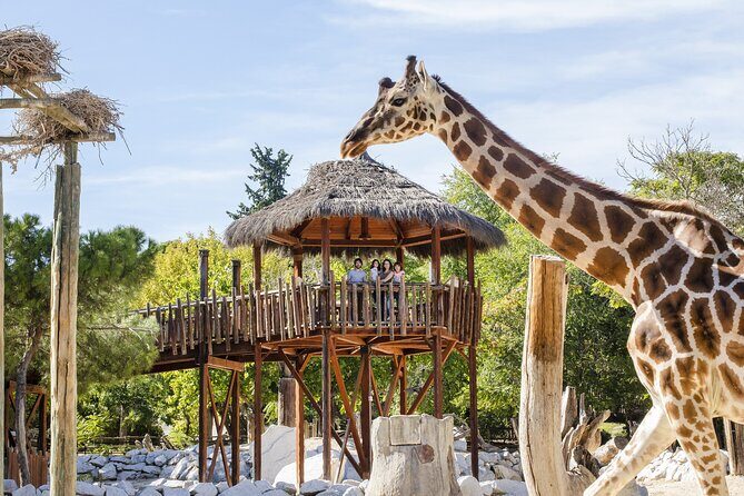 Zoo Aquarium Madrid Admission Ticket - Final Thoughts