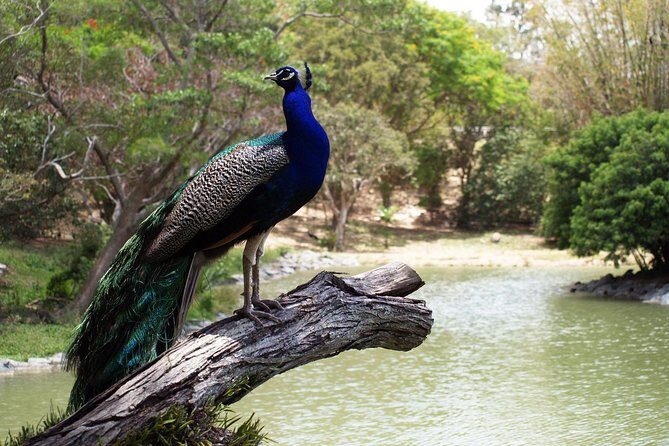 Zoological and Forestry Park Admission Ticket - The Experience: What Travelers Say