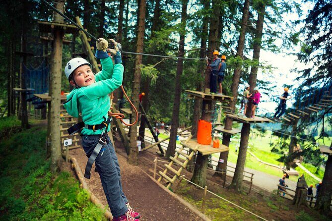 Zurich: Adventure to Pilatus Gold and Silver tour and Lucerne - Practical Tips & Considerations