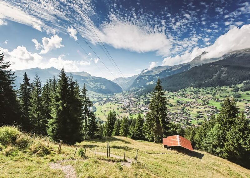 Zurich: Grindelwald, Interlaken & Lauterbrunnen Day Trip - FAQ