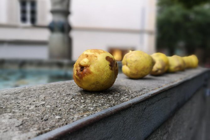 Zürich Historic District Tour - A Deep Dive into the Zurich Historic District Tour