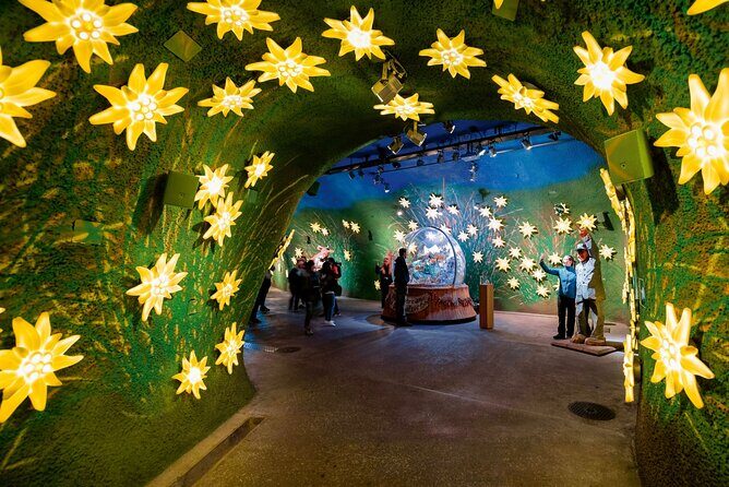 Zurich: Small group tour to Jungfrau, Grindelwald & Interlaken - FAQs